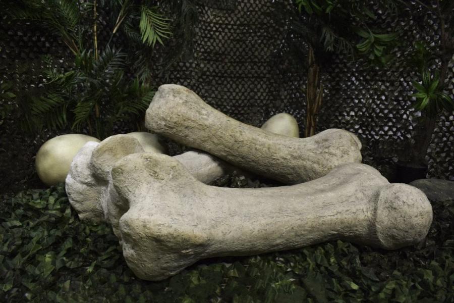 Dinosaur Trail Hire | Town Centre Trails | Odin Events