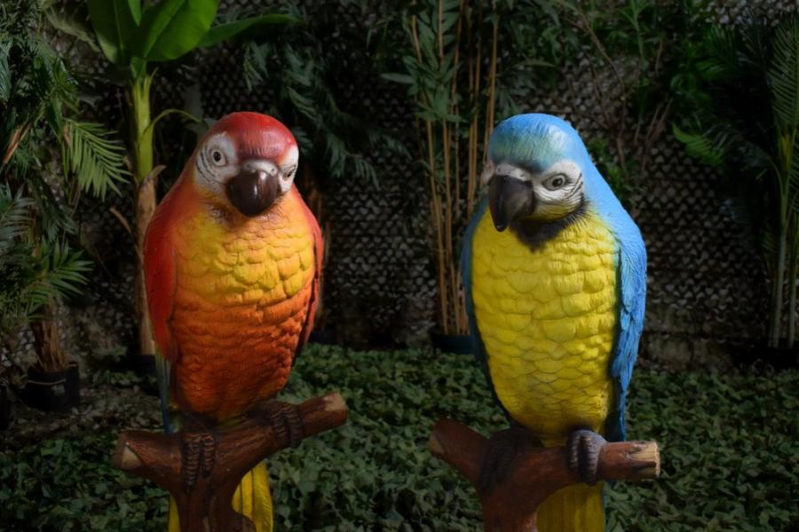 Safari Animal Prop Hire | Odin Events